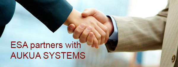 Embedded Systems Solutions